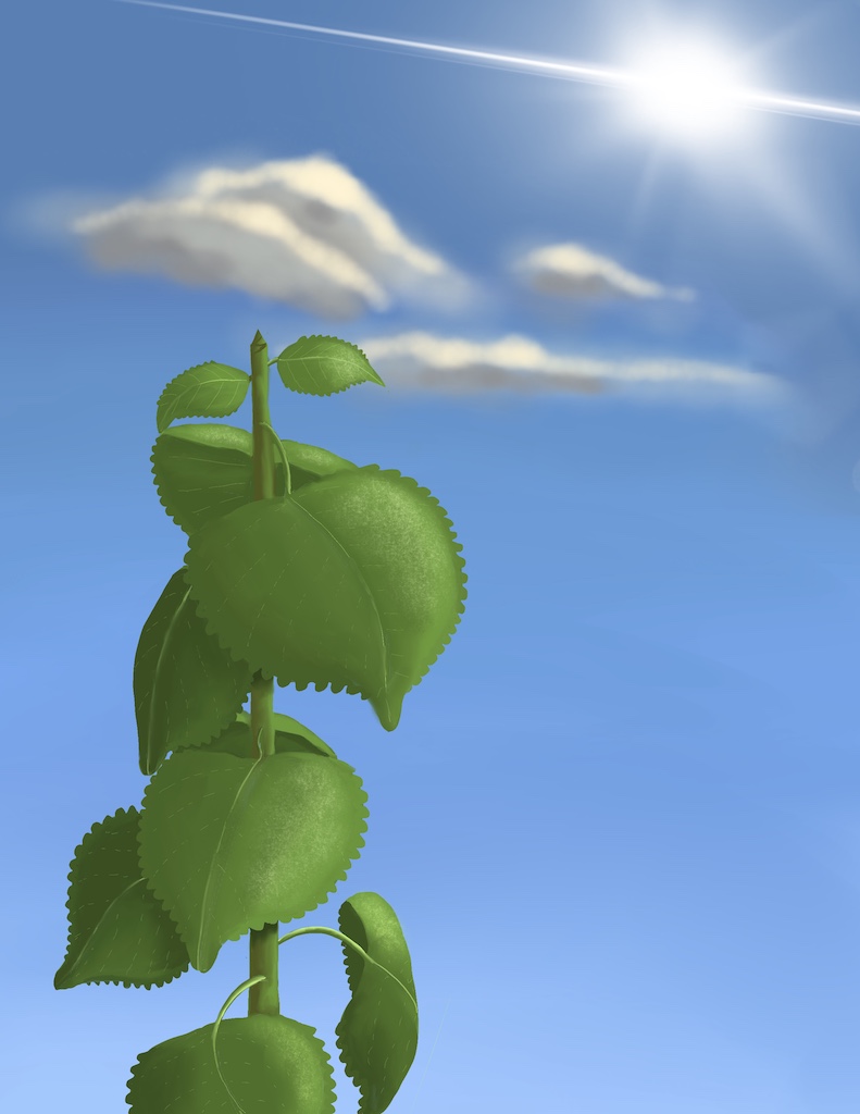 Children's Book: "I Became a Tree" - Disabled In Nature