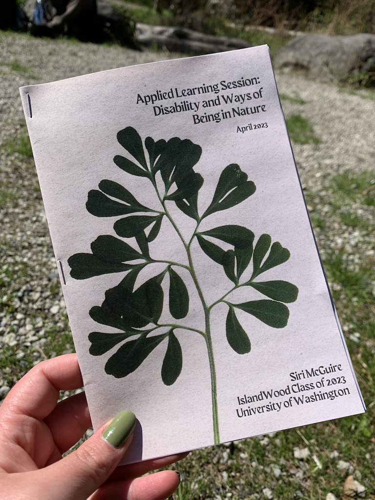 Teaching Portfolio - Disabled In Nature