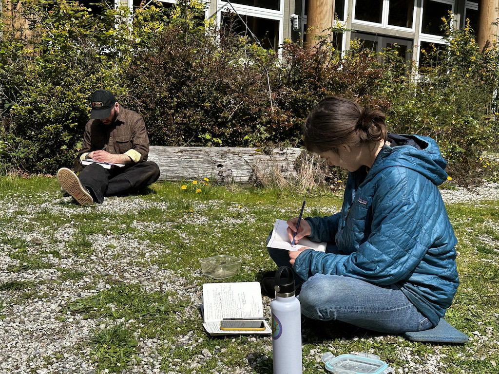 Teaching Portfolio - Disabled In Nature